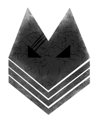Jason Fox Official